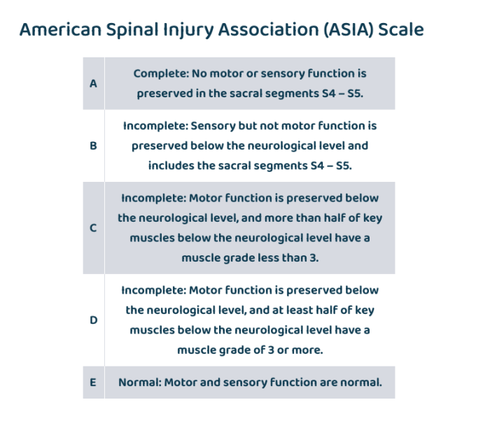 What is a Spinal Cord Injury?