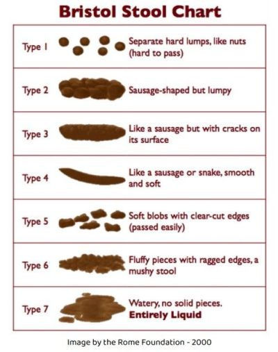 Adult Bowel Program Clean Out With Fleet Enema